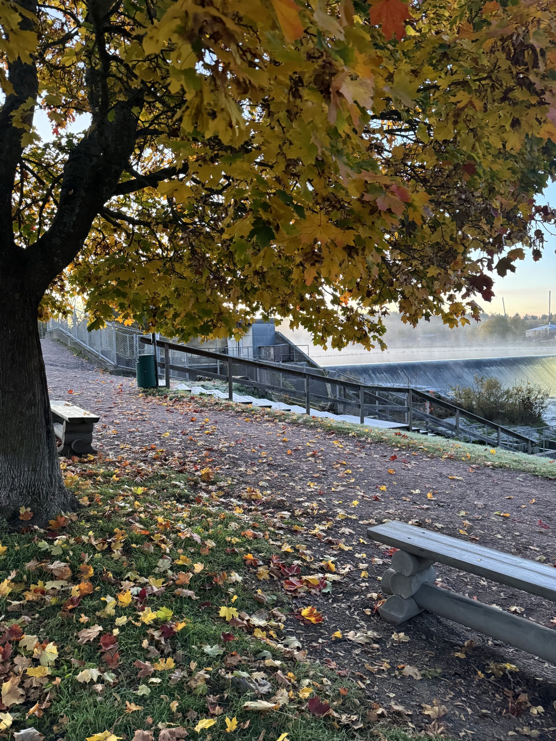Halistenkosken Myllärintalolla on siirrytty syysaukioloaikoihin - Aurajoki
